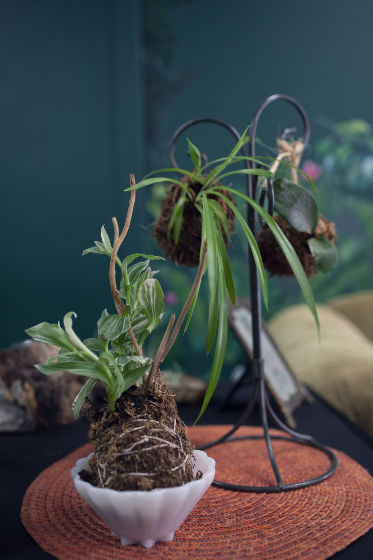 Witches Day Out - Downtown Fond du Lac Partnership